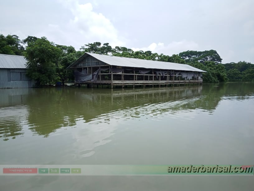 ঝালকাঠিতে দুই শতাধিক মাছের ঘের ও সহস্রাধিক পুকুর তলিয়ে গেছে
