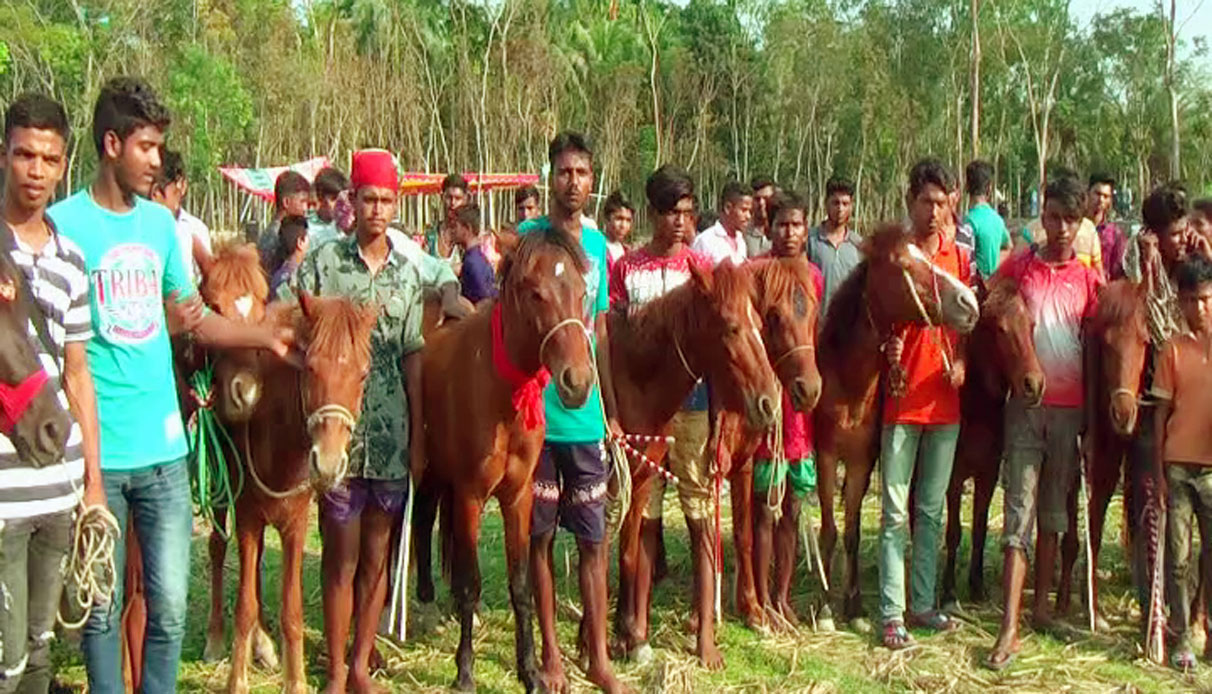 নলছিটিতে ৫০টি ঘোড়ার দৌড় প্রতিযোগিতায় এলাকাজুড়ে উৎসব